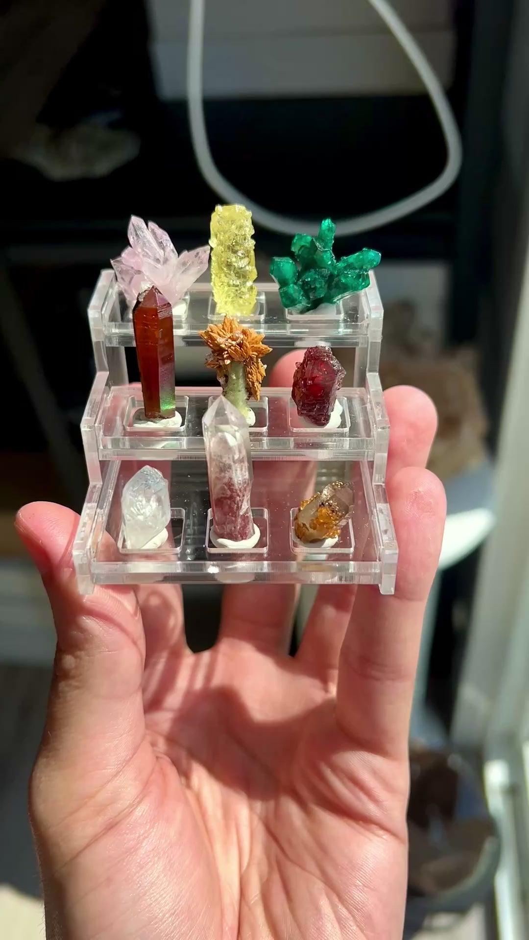 Thumbnail Specimen Display Stand – Note to Self Co